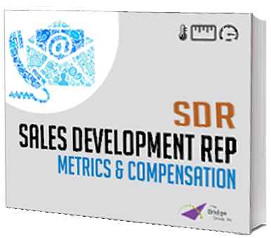 B2B Sales Consulting | SDR, AE, CSM Strategy | The Bridge Group